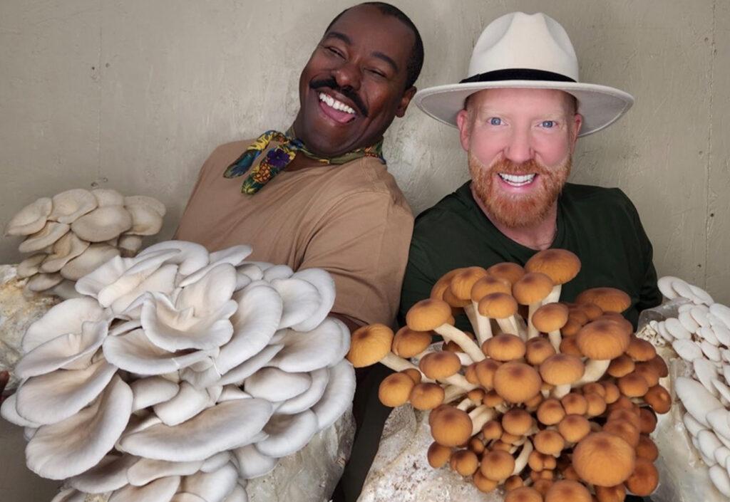 Ted Gibson’s Next Act: From Hollywood Hair to Mushroom Magic - New You